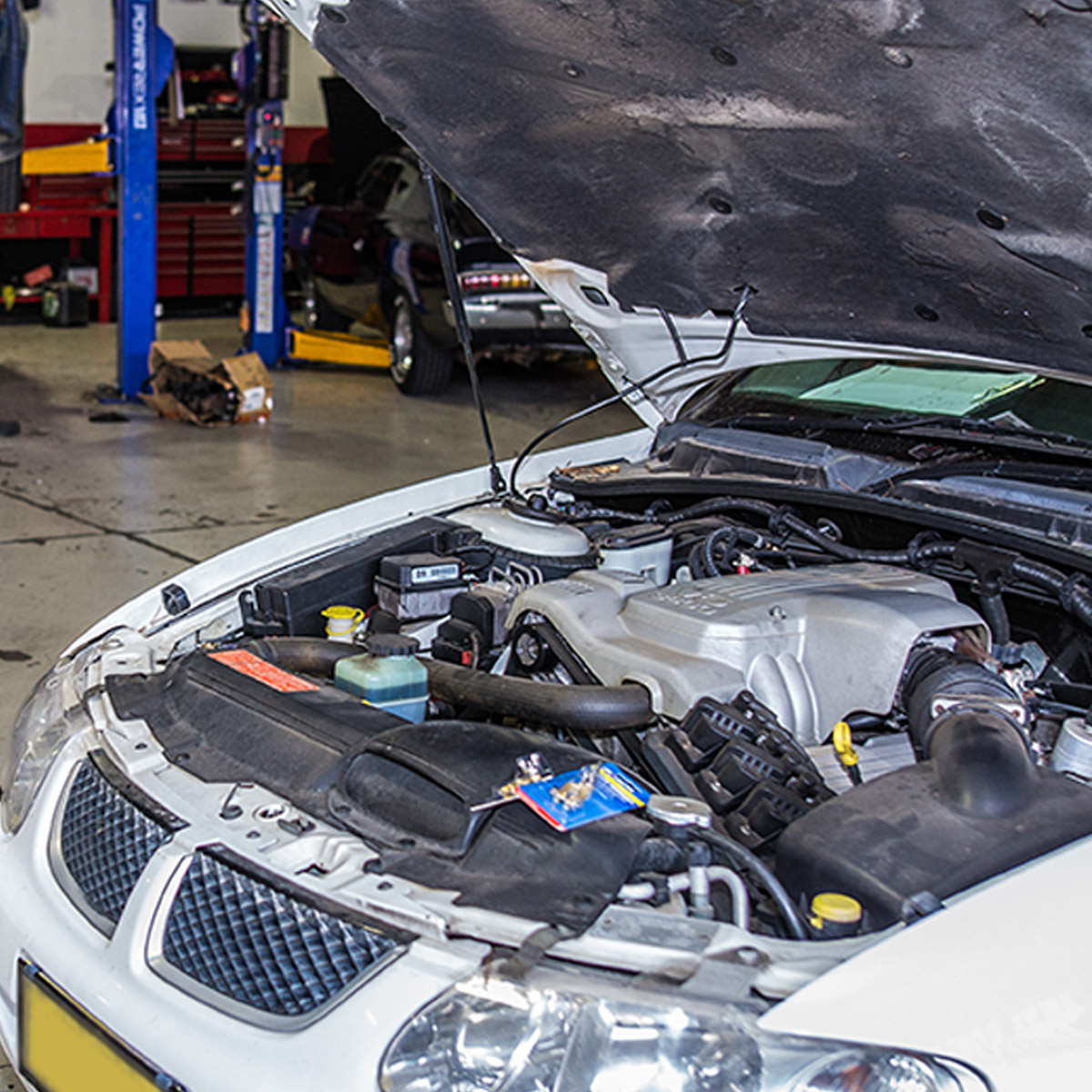 Squeaking noise from vehicle inspection